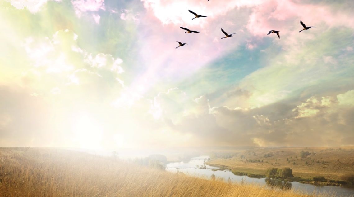 Home – Valley of Unity